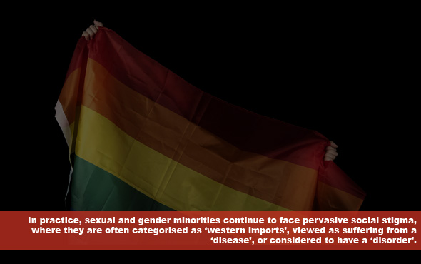 Struggles and Triumphs: A close look at sexual and gender minority ...