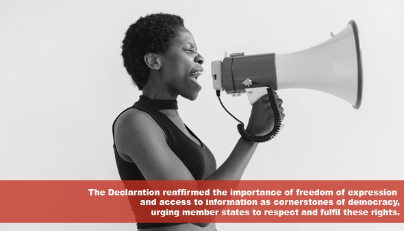 Celebrating the enduring legacy of the Special Rapporteur on Freedom of ...